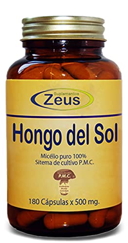 Radiante Revitalización: Hongo del Sol para el Bienestar Integral ...