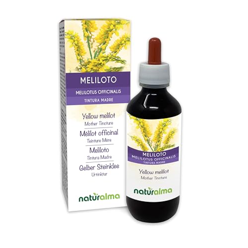 Flores de Meliloto: la hierba medicinal para tu bienestar - iconsalud.es